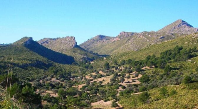 Península del Llevant Natural Park - Wildside Holidays - Walking and ...