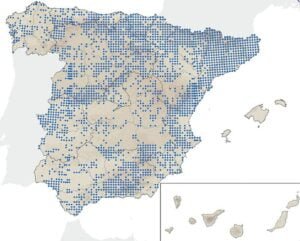 Badgers in Spain - Wildlife & Walking Tours in Spain | Wildside Holidays
